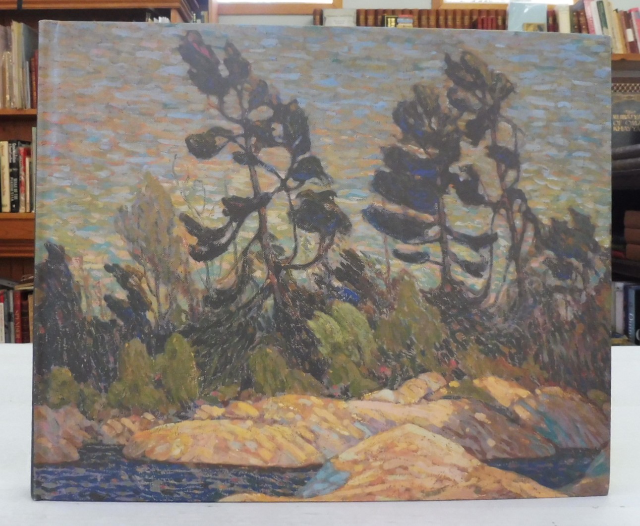 Tom Thomson: The Silence and the Storm, Silcox, David, Town, Harold ...